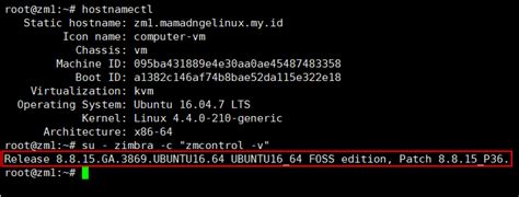 Upgrade Zimbra And The Os Version Serverstadium