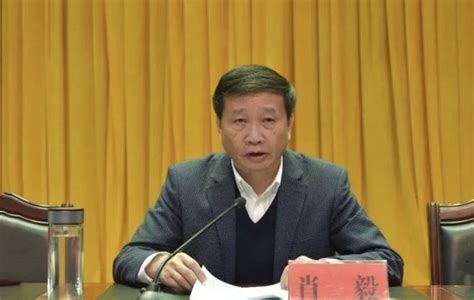 受賄百億比特幣 德企不爽舉報 江西高官挖礦被抓 自由財經