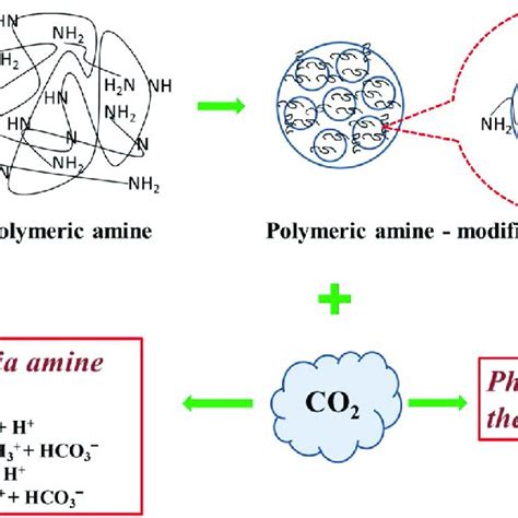 Pdf Co2 Capture Adsorbents Functionalized By Amine Bearing Polymers A Review