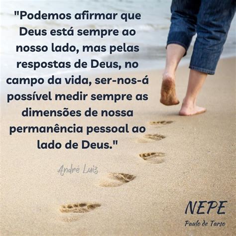 Ser Espírita André Luiz Livro Respostas Da Vida Chico Xavier Cap