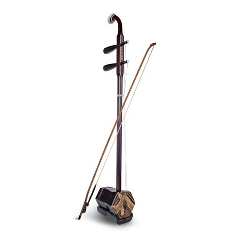 Chinese Traditional Erhu Musical Instrument Erhus W Case High Quality