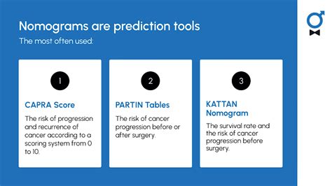 Prostate Cancer Prognosis And Survival Excel Male Trt Forum
