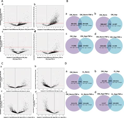 A Quantitative Proteomic Analysis Volcano Plots Reflecting The Results