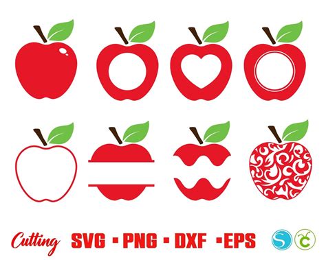 Apple Svg Bundle Apples Svg Fruit Svg Apple Png Apple Cricut Svg