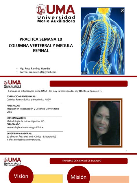 Practica Semana 10 Mesp Pdf