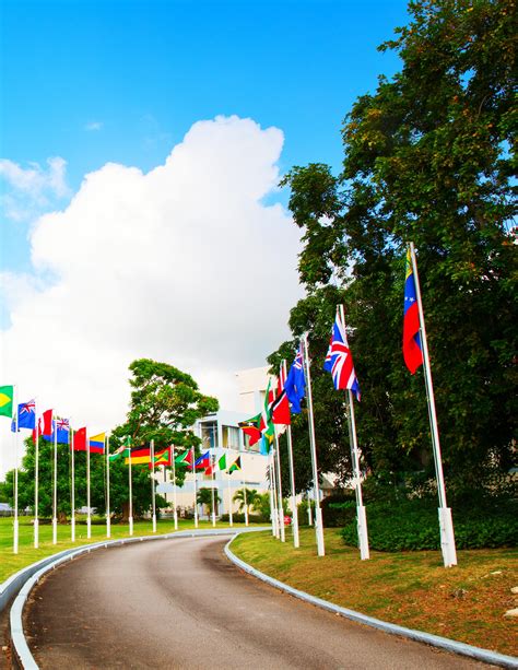 Annual Procurement Report 2022 By Caribbean Development Bank Issuu