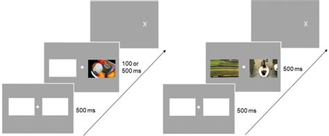 Procedure For The Spatial Cueing Task Used For The Attentional Bias