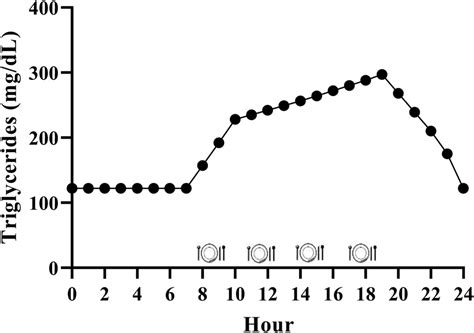 Fasting Non Fasting And Postprandial Triglycerides For Screening Cardiometabolic Risk Journal