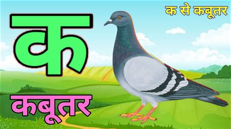 अ स अनर आ स आम अ आ इ ई क स कबतर ख स खरगश अ स अ और क स जञ
