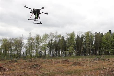 Tree Planting Drones Can Sow 100 000 Seeds A Day Curbed