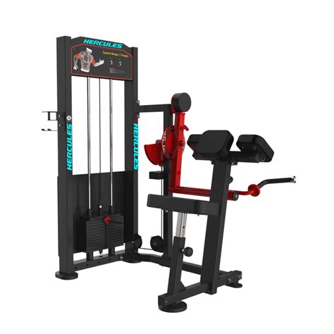 Biceps And Triceps Gym Equipments Hercules Fitness
