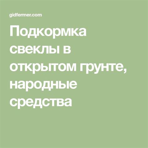 Подкормка свеклы в открытом грунте, народные средства