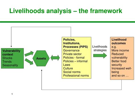 Ppt Livelihoods Analysis In Livestock Trade Pace Project Impact And