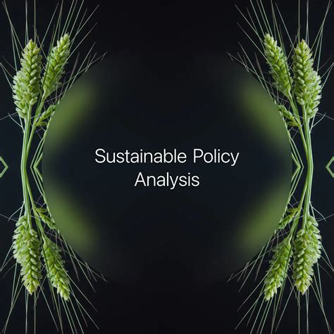 Policy Implications → Term