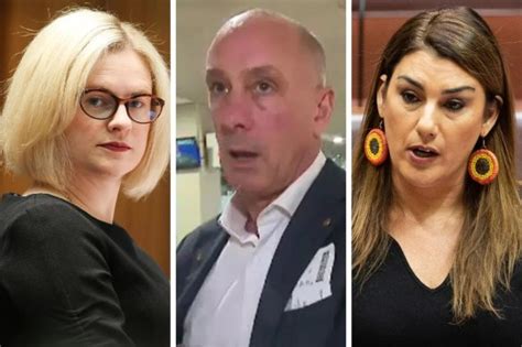 David Van Victorian Senator Resigns From Liberal Party After Claims By Lidia Thorpe Amanda Stoker
