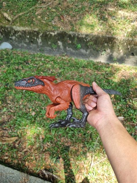 Jw Basic Pyroraptor 12 Inch Hobbies And Toys Toys And Games On Carousell