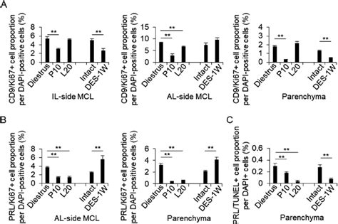 The Proportion Of Cd9ki67 And Prlki67 Positive Cells In The Il Side