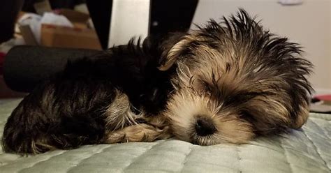 Entropy Album On Imgur