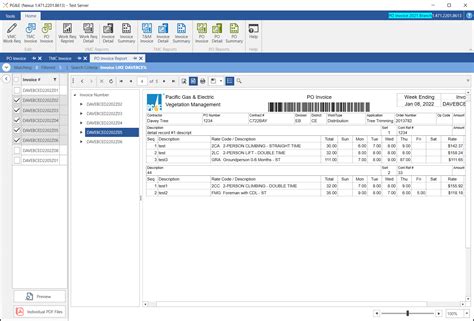 Po Invoice