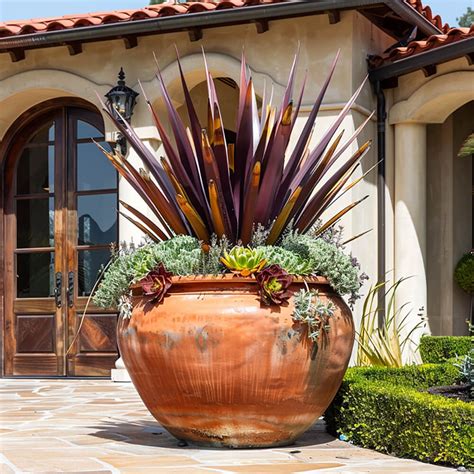 Where To Large Pots