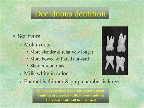 7264369 Morphology Of Deciduous Dentitionppt
