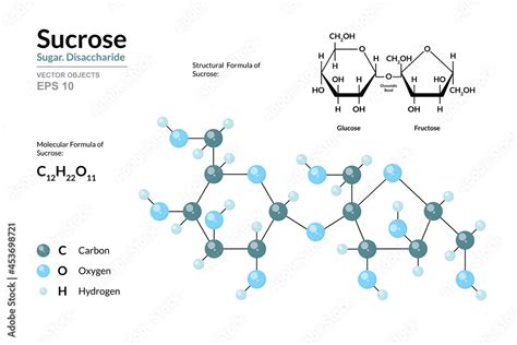 Sucrose Cane Sugar Disaccharide Structural Chemical Formula And