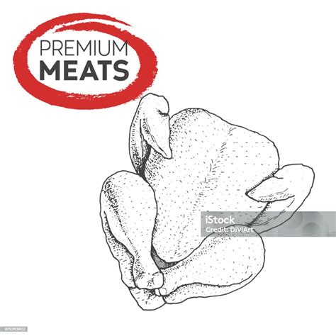 Ilustracja Wektorowa Ręcznie Rysowana Z Kurczaka Produkt Mięsny Element