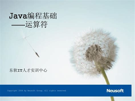 第三章 运算符 word文档在线阅读与下载 无忧文档
