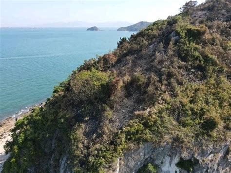 燃放烟花拍视频吸流量？两男子在大亚湾引发山火被拘留刘某火灾爆竹