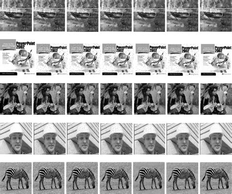 Denoising Results From Dataset Set14 18 Images Corrupted By Additive Download Scientific