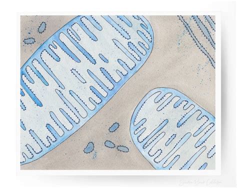 Igm Pentamer Science Science Art Watercolor Print Etsy