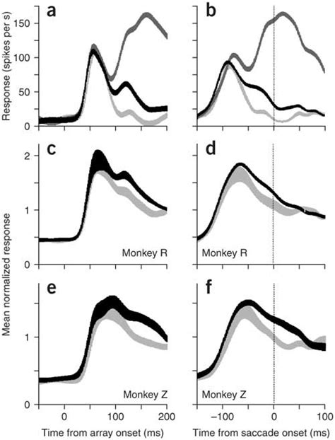 Responses To The Target Or Distractors Within The Neurons Receptive Download Scientific