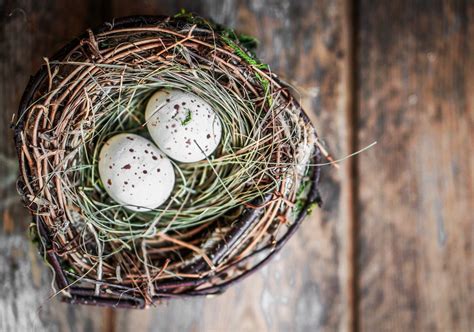 Defined Benefit Plan Solutions Linkedin