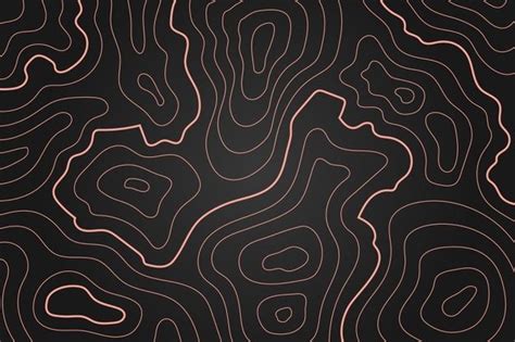 Papel De Parede Com Estilo De Mapa Topográfico Vetor Grátis Fond D