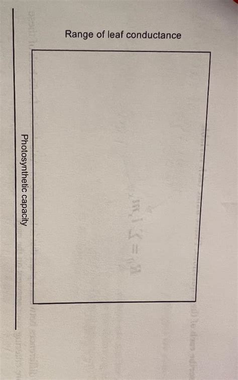 7 On The Following Graph Please Draw The Functional