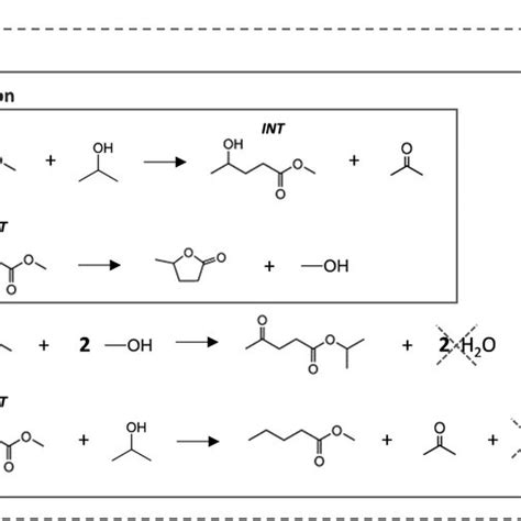 simulation schemes and associated reactions considered for theoretical