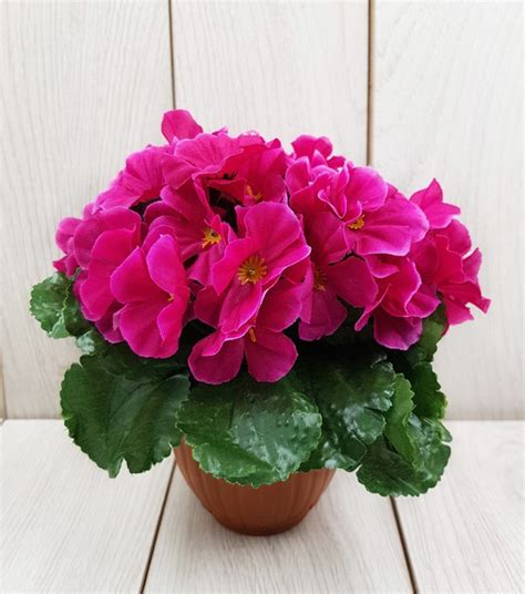 Купить Искусственные фиалки в горшке Искусственные цветы для декора