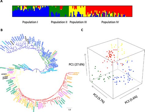 Phylogenetic Tree Principal Component Analysis Pca And Structure Download Scientific