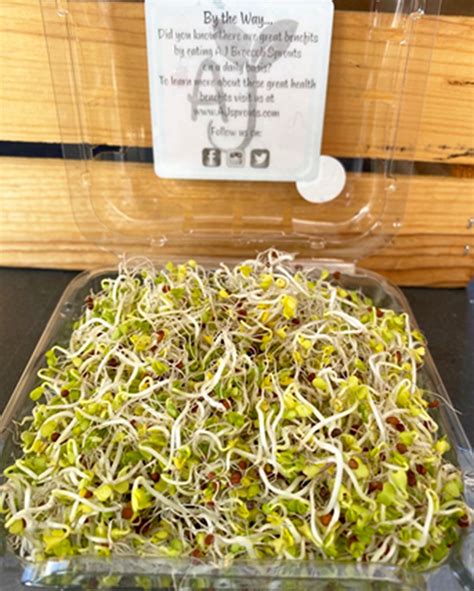 Broccoli Sprouts — Vccfm