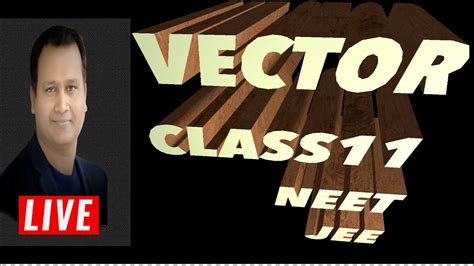 vector part1 class 11 youtube