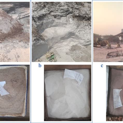 Presentation Of Sampling Areas Above And Samples Below A Download Scientific Diagram