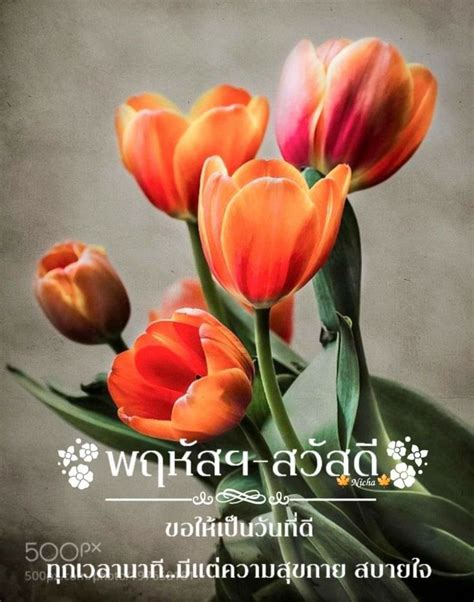 Pin af Pornpen Sombutruk på สวสดวนพฤหสบด