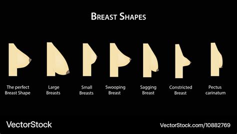 Breast Shapes