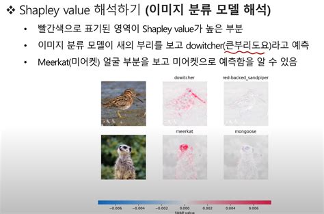 Shapley Value