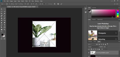Transform Tool Photoshop How To Use Transform Tool In Photoshop
