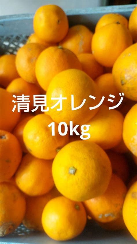和歌山産清見オレンジ一箱10kg By メルカリ