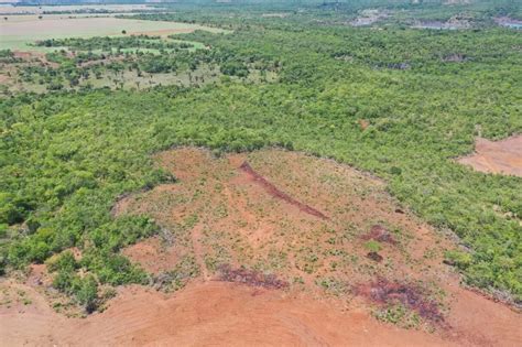 Semad Flagra Desmatamento No Centro Oeste E Norte Goianos