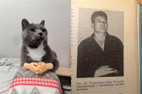 ﻿Рис 23 Горделивая поза больного шизофренией с бредовыми идеями