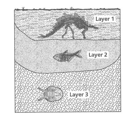 Diagram Security Layers Diagrams Mydiagramonline