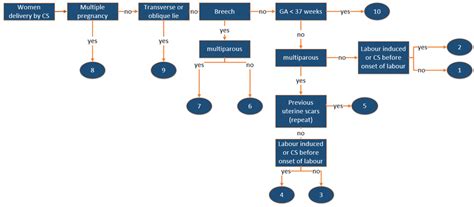 Flow Chart Robson Classification According To Who 16 Download Scientific Diagram
